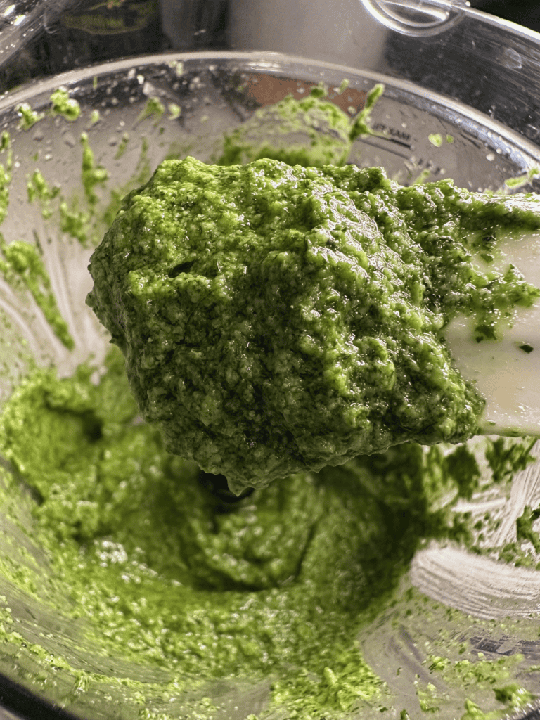 Fennel Frond Pesto - Carol Bee Cooks