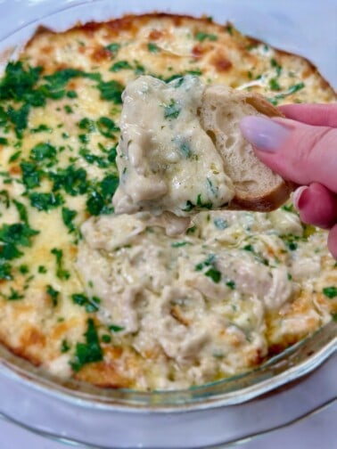 Baked Chicken Alfredo Dip - Carol Bee Cooks