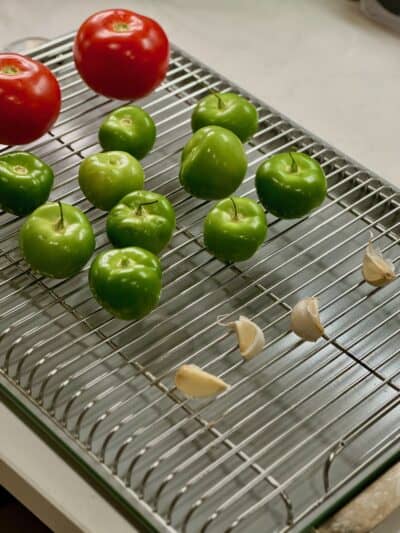 Chipotle Copycat Tomatillo-Green Chili Salsa - Carol Bee Cooks
