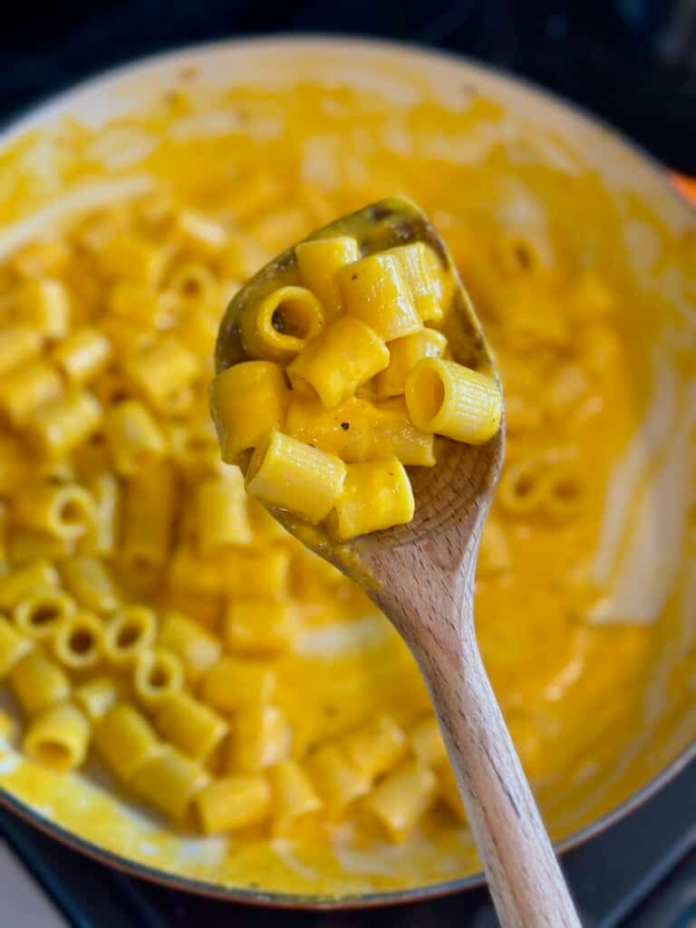 Creamy Orange Tomato Pasta - Carol Bee Cooks